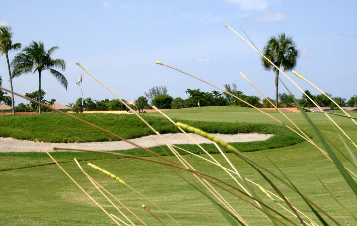 Golf Courses in Miami | Miami Florida Golf Packages | Tee Times USA