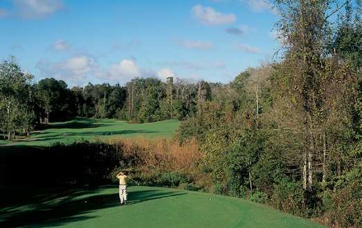 Cypress Golf Course Palm Coast Home Lansbrook Golf Club