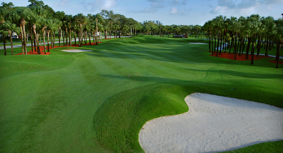 Golf Courses in Miami | Miami Florida Golf Packages | Tee Times USA